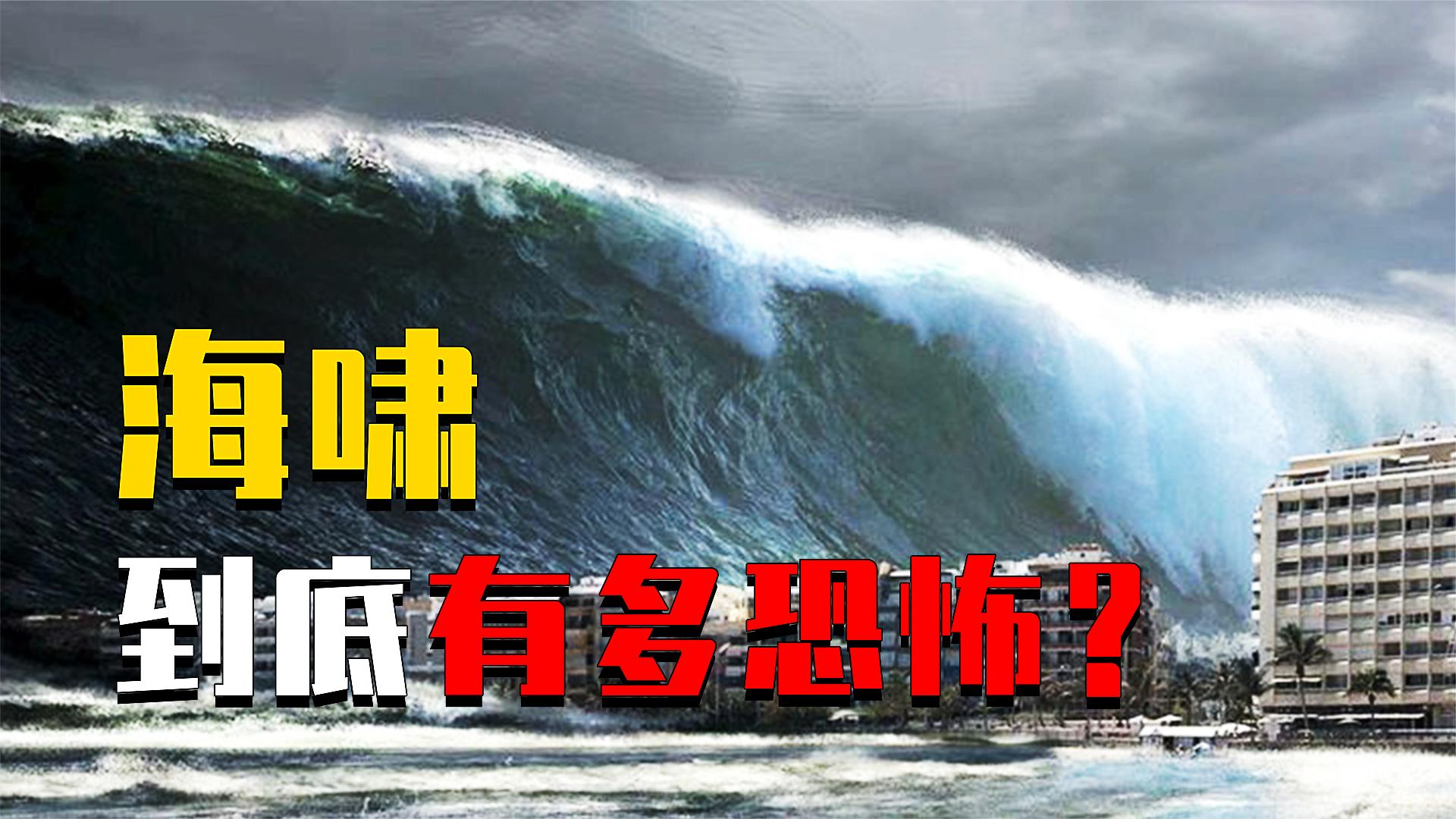 印度洋发生9.3级地震,引发超级大海啸,威力相当于3万枚核弹爆发
