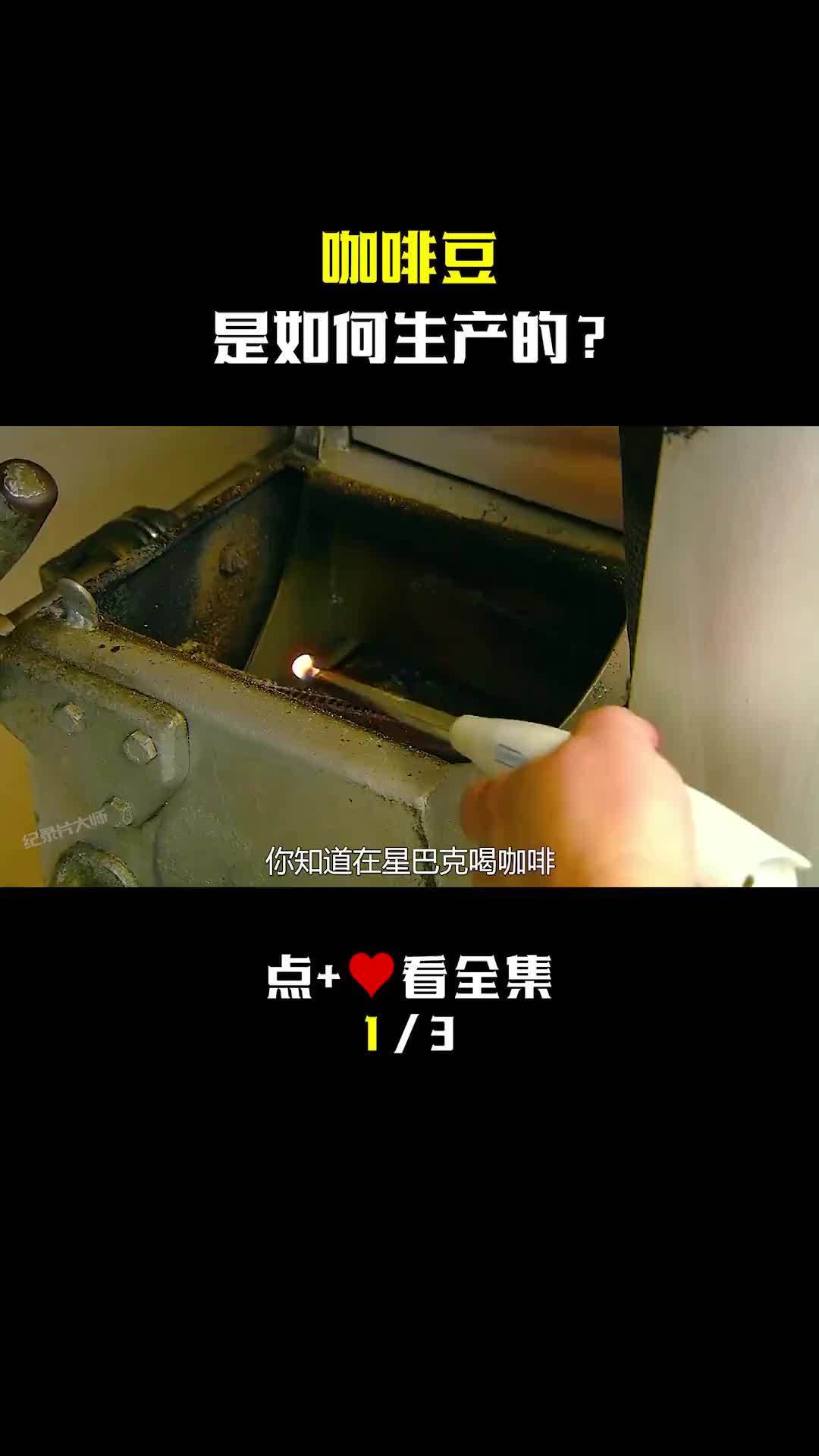 咖啡豆是如何生产的