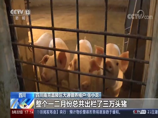 [新闻直播间]农业农村部 农产品供应 政策拉动效应显现 生猪生产出现...