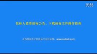 伟拓电子交易平台投标人查看招标公告、下载招标文件操作指南