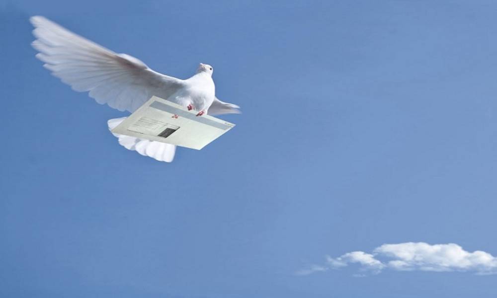 为什么信鸽送信途中,从来不会迷路?听听专家怎么说