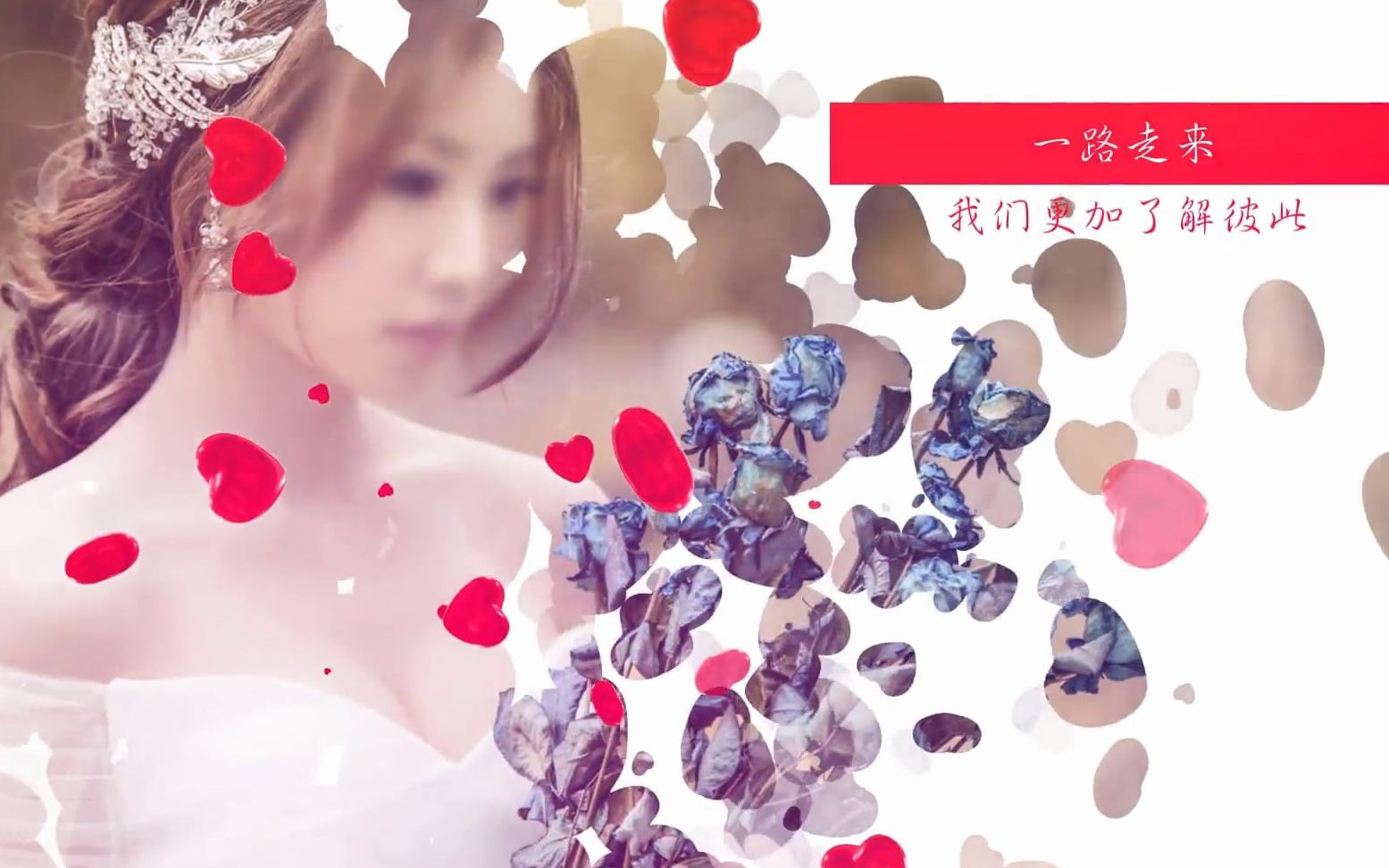 ...结婚婚纱照MV电子相册AE动态模板ae特效 视频片头 会声会影 edius ...