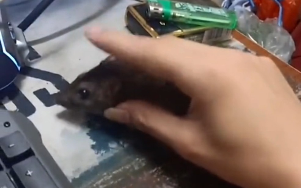 我买的无线鼠标怎么不管用啊