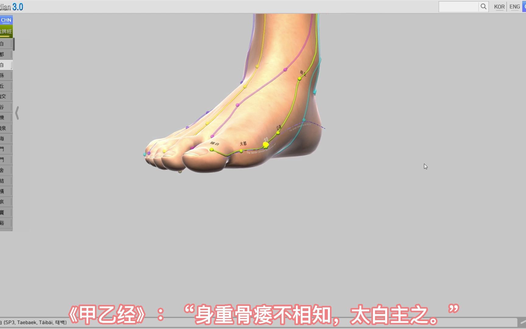 脾经太白穴_经络穴位