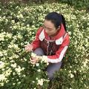 橘子的故事生活 