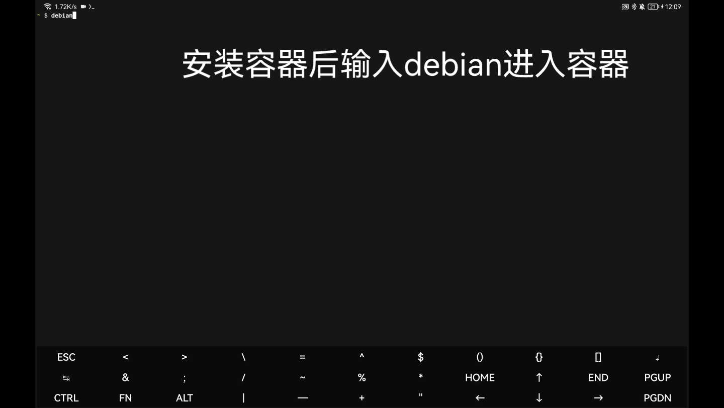在安卓上装linux虚拟机(debian bullseye)(termux+tmoe)下篇