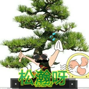 松瀚呀 