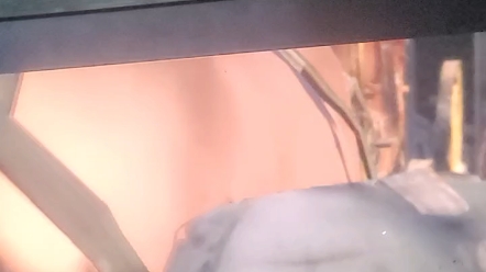 90年代PS2开放世界神作游戏 荒野大镖客最后一关 打那个探长警察局