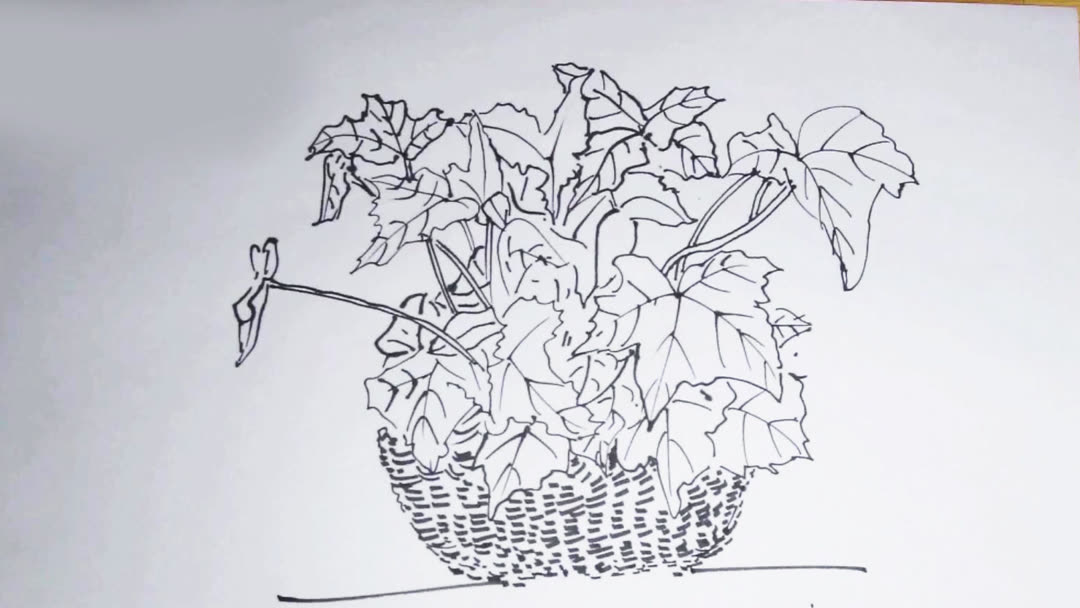 线描花卉画,一看就会