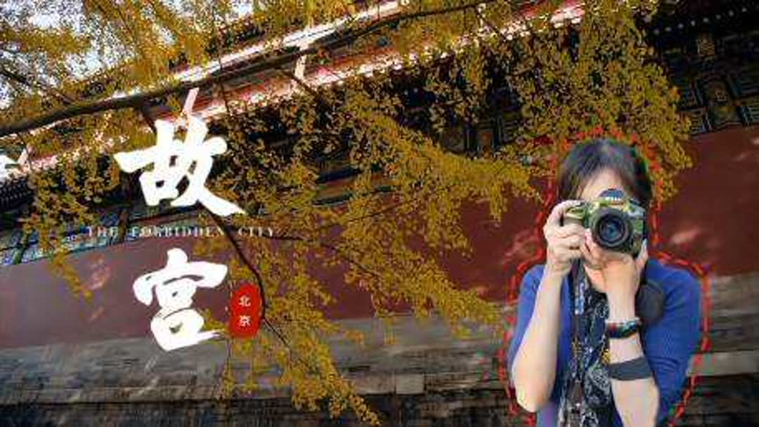 实拍深秋的北京故宫:银杏黄了,柿子红了,美成了画!