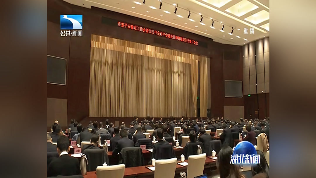 王忠林强调 统筹发展和安全 推动平安武汉建设融入经济社会发展全过程