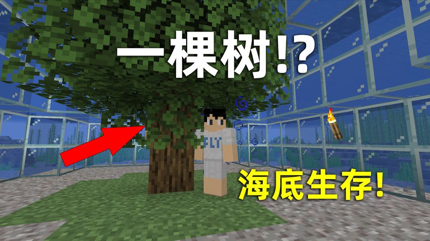 我的世界:开局一棵树如何在海底生存?