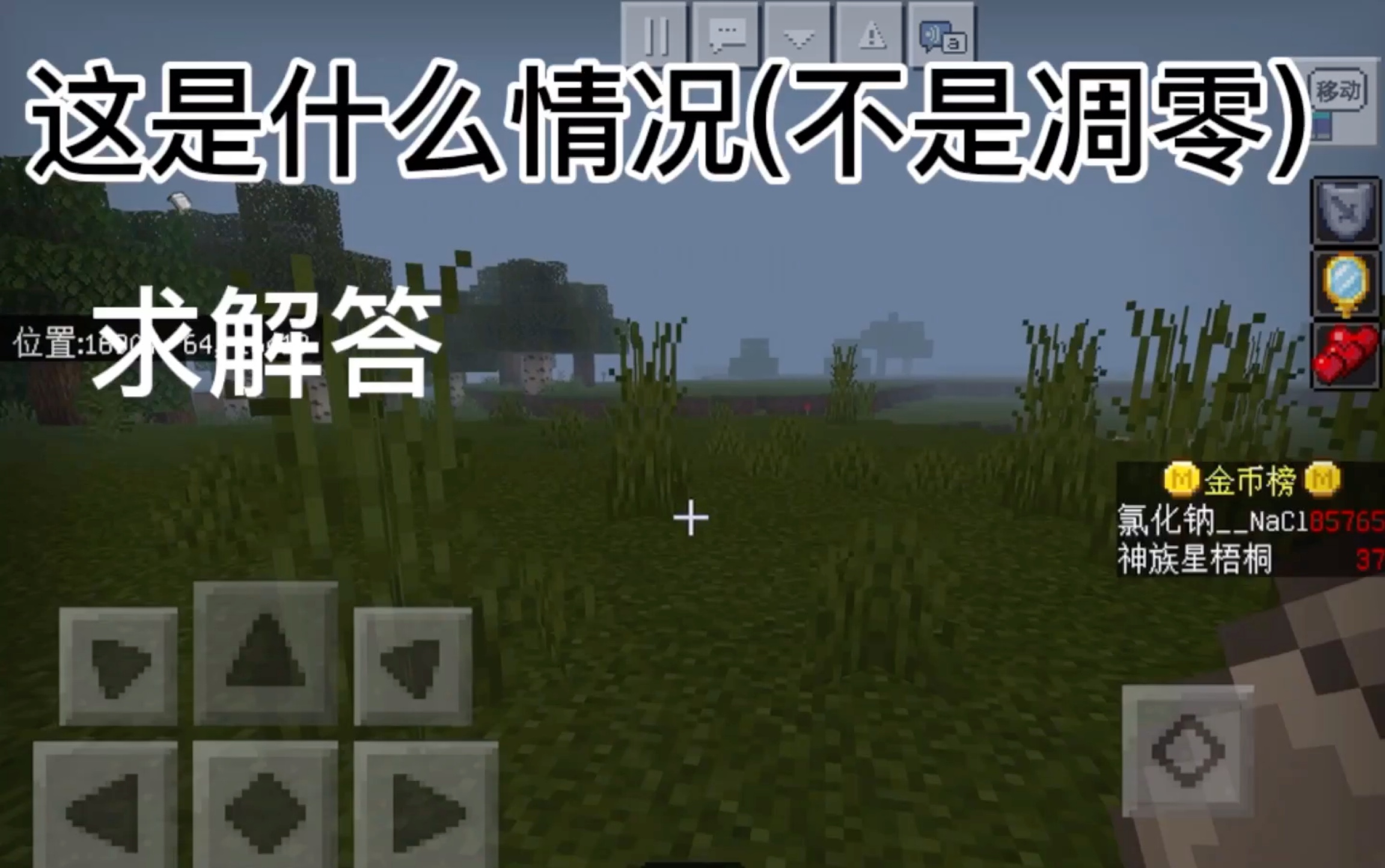 我的世界灵异事件?这什么情况