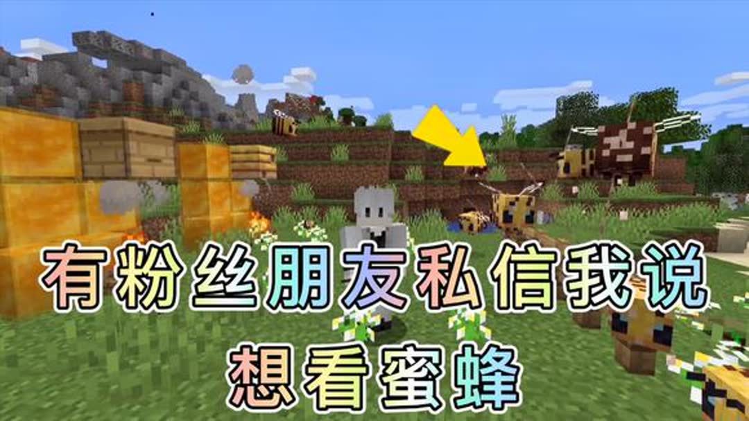 我的世界蜜蜂介绍:中国版更新蜜蜂了,蜂蜜效果堪比牛奶!