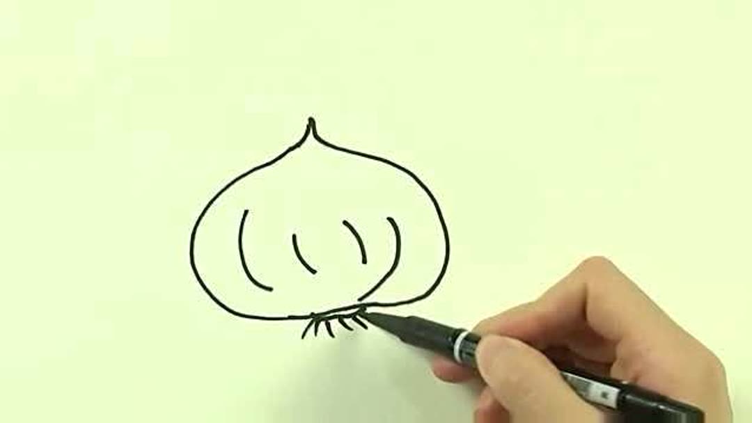 快速简笔画教学80秒画《大蒜》