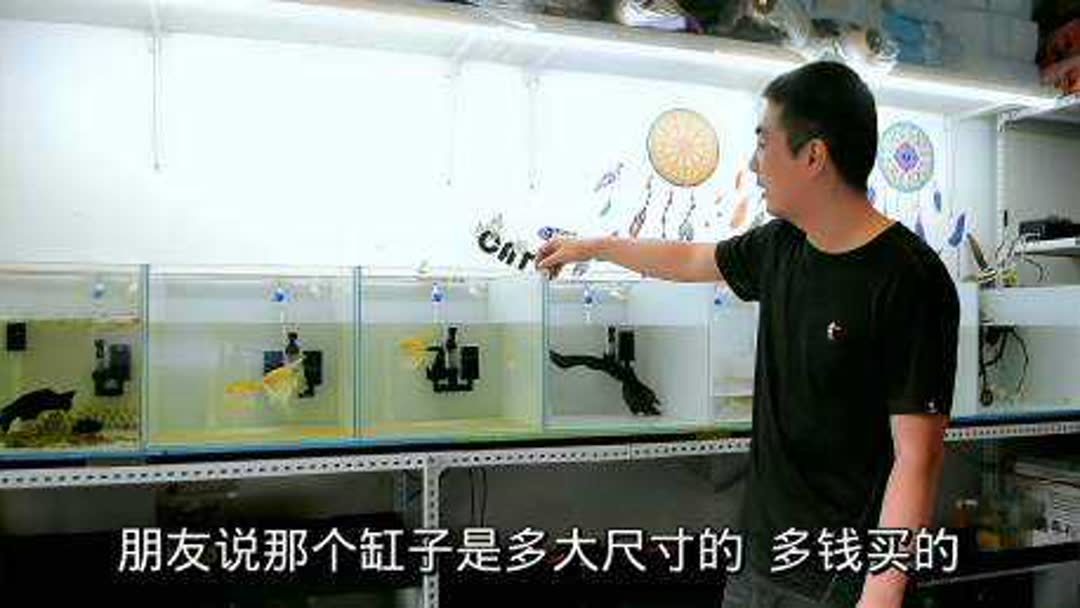 3米排缸已经完成,系统缸灯具+过滤氧气泵一个月的电费得多少钱?