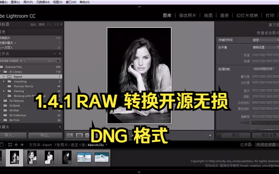 1.4.1 RAW 转换开源无损 DNG 格式