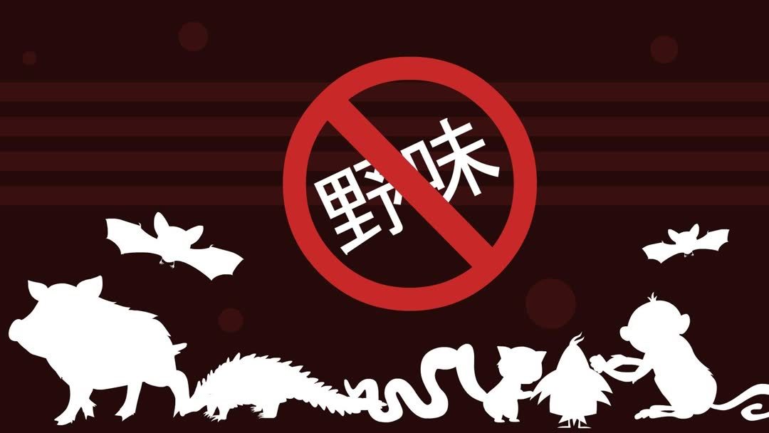 野生动物是地球生态系统平衡的一个重要因素,我们要拒食野生动物