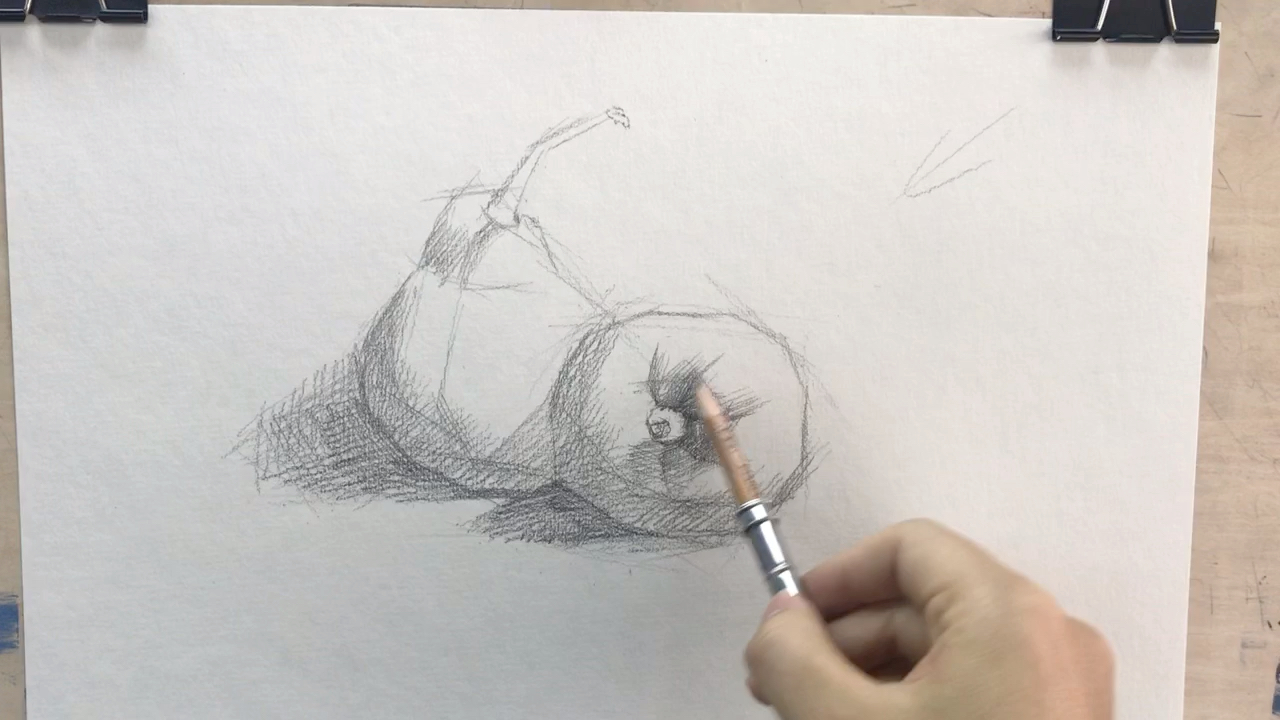 缤纷象艺术素描打卡-水果