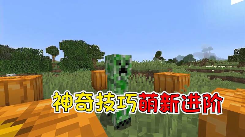 我的世界:25个MC神奇小技巧,让你从萌新进阶大佬