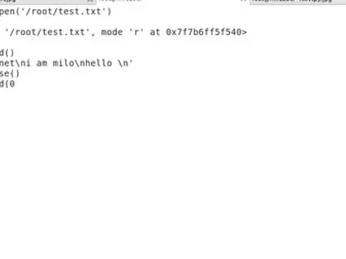 python在线教学-32-文件-1-文件读写