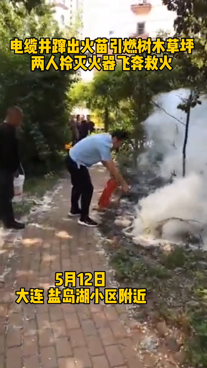 电缆井蹿出火苗引燃树木草坪,两人拎灭火器飞奔救火获赞