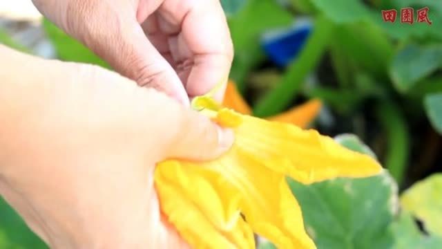 农业农村部:加强高标准农田建设,支持粮食生产农民合作社