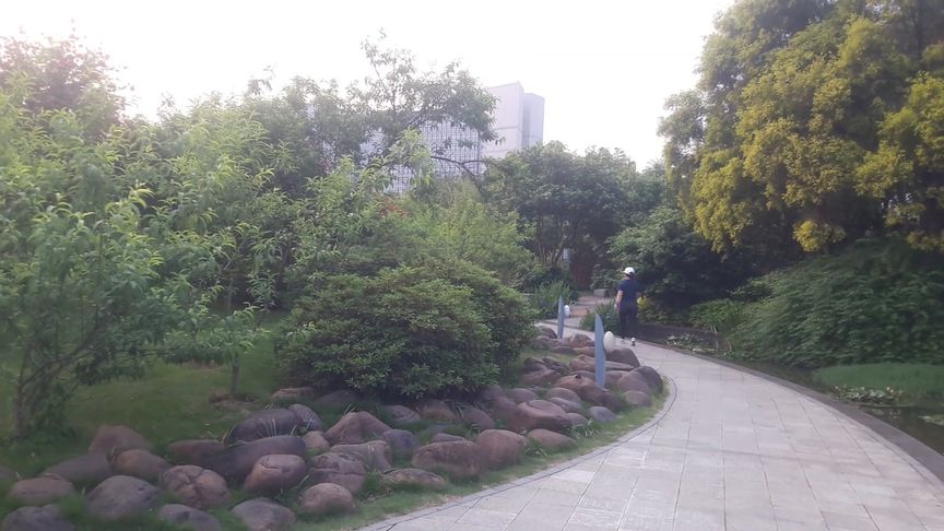 柳州市市民广场也许是绿化得最好的一个广场了 植物种类也多