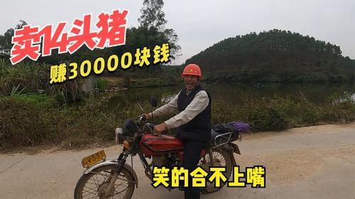 养猪赚钱吗?农村大叔卖14头猪赚3万块钱,直呼:养猪比做建筑强
