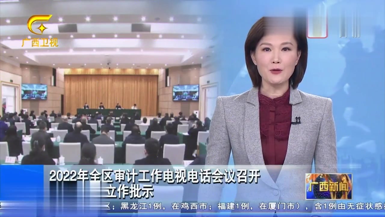 2022年全区审计工作电视电话会议召开刘宁蓝天立作.