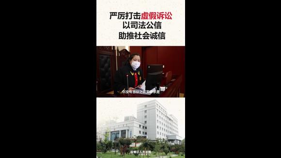 张某故意作虚假陈述的行为违背了民事诉讼应当遵循的诚实信用原则