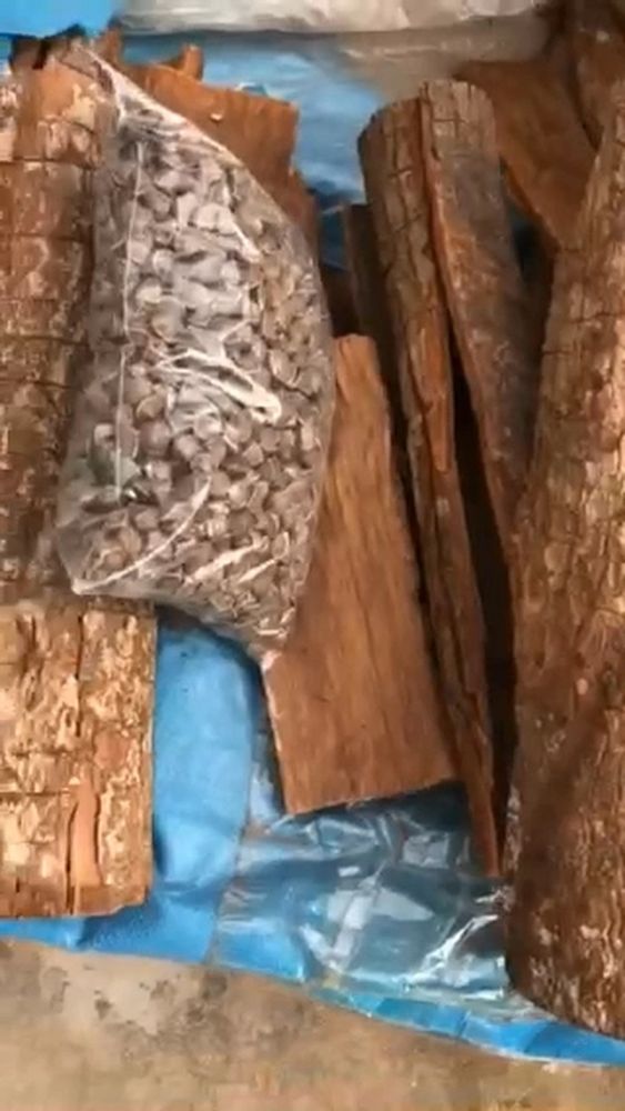 非洲卡宾达树皮