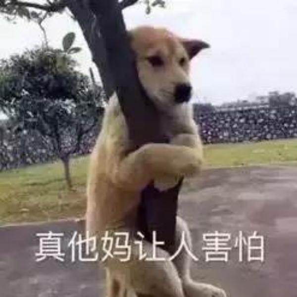 我也经常收到这个信息 