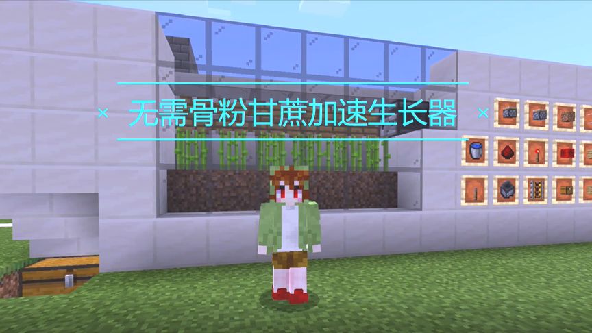 我的世界基岩版无模组刷甘蔗机