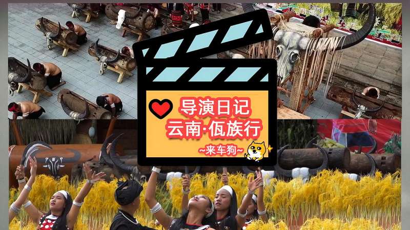 去到云南看美景,去到原始森林探索奥秘