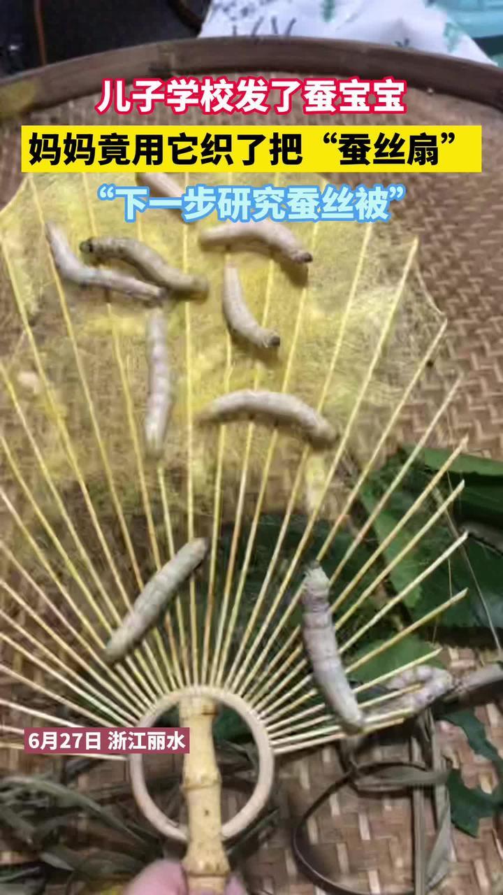 萌娃学校发的蚕宝宝,妈妈竟用来织了把"蚕丝扇"。网友:新玩法get(供稿:...