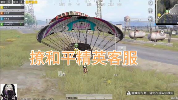 今天是撩和平精英客服第二天