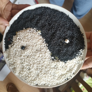 琴棋书画美才女爱辩论 