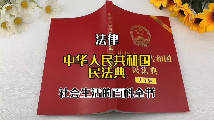 《中华人民共和国民法典》社会生活的百科全书市场经济的基本法