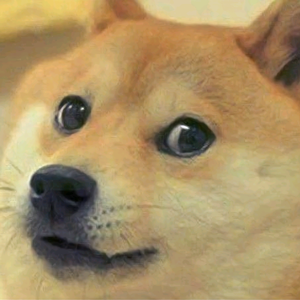 键盘侠精彩分享 