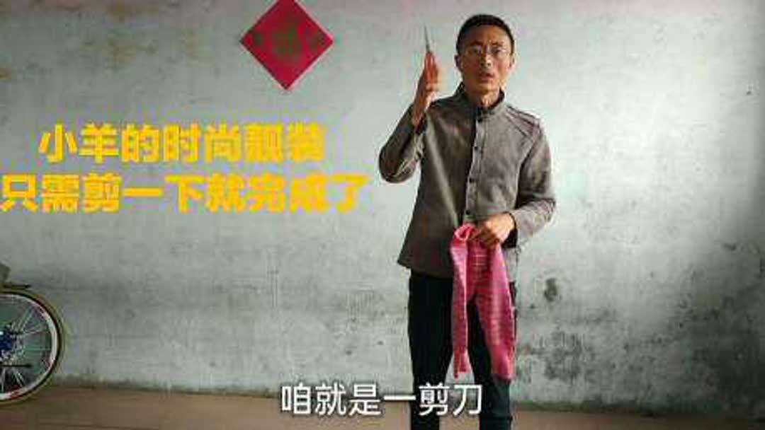 宠物羊的靓丽服装,设计制作非常简单,只需剪一下就完成