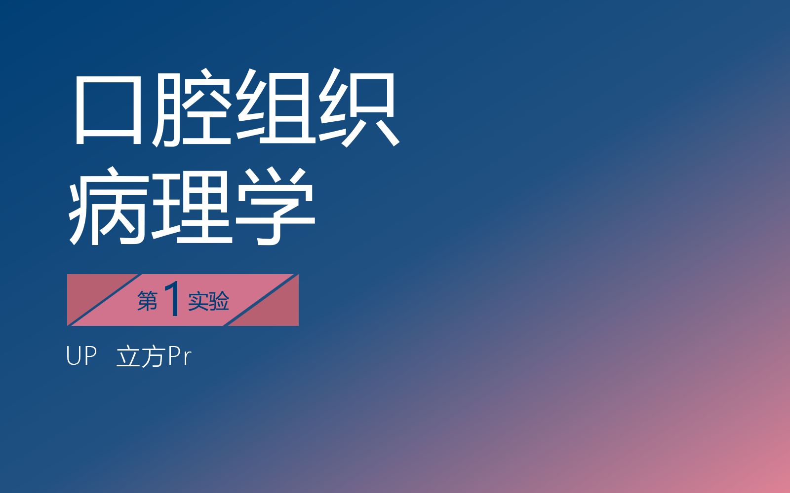 口腔组织病理学切片实验01-牙的发育