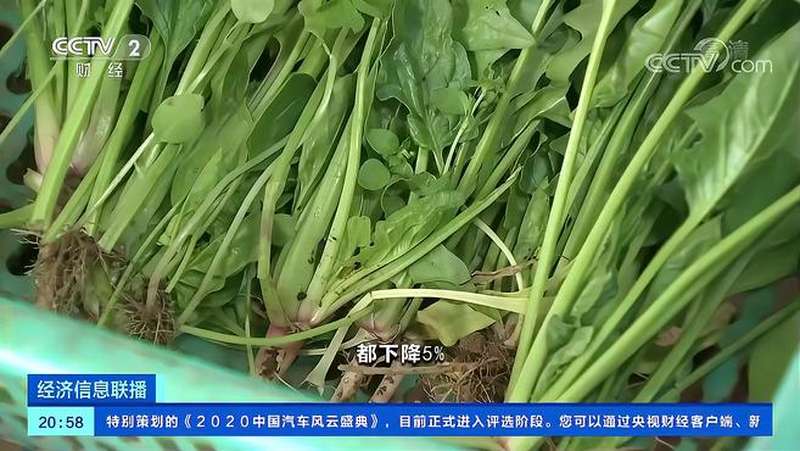 月度经济观察|10月份全国蔬菜价格季节性下行 秋冬蔬菜供应整体充足