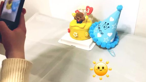 宠物蛋糕ߎ�出炉啦#私房烘焙 #成都 #宠物蛋糕