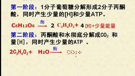 高中生物同步教学视频 必修一 细胞呼吸