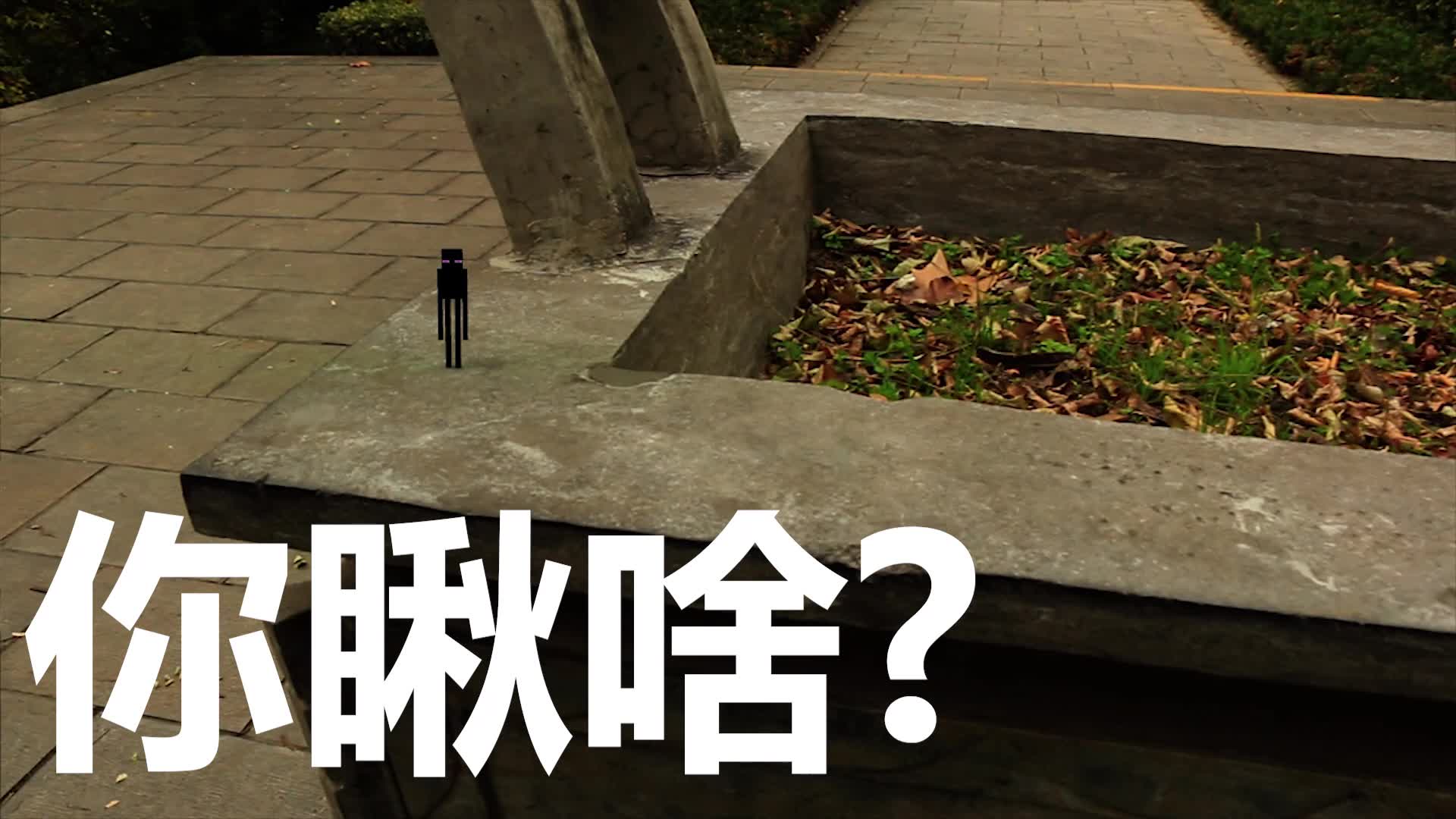 《当我的世界入侵现实》小黑:“你瞅啥?”