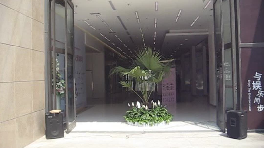 大型电动折叠门