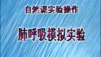 肺呼吸模拟实验