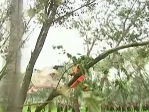 我在还珠格格 第三部 38截了一段小视频