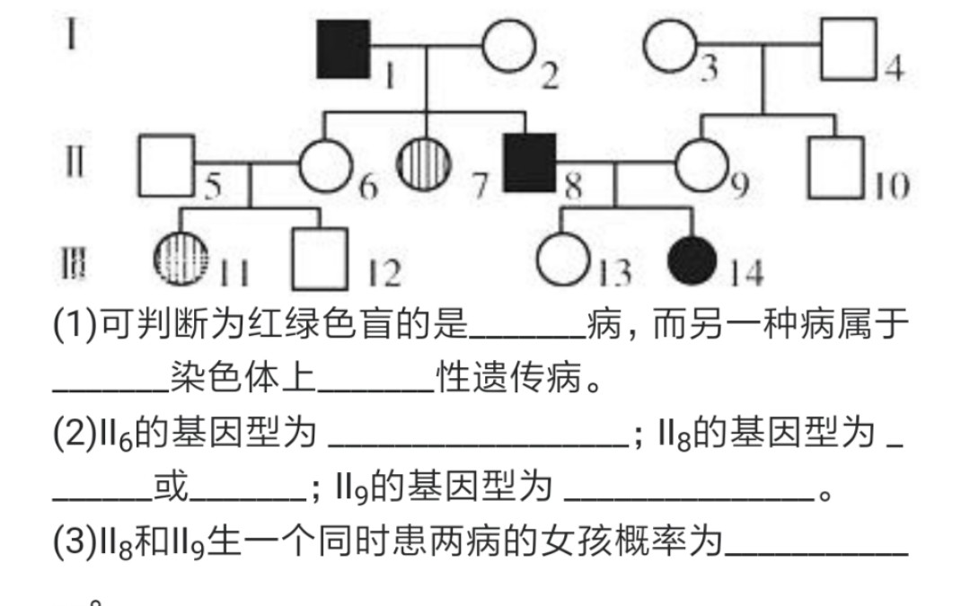 【嗷嗷班专属】伴性遗传3-5